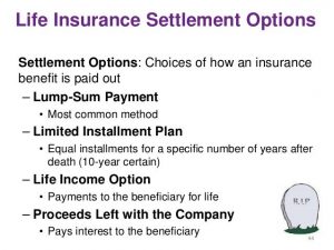 How Life Insurance Payouts Work: Lump Sum or Annuity Options?