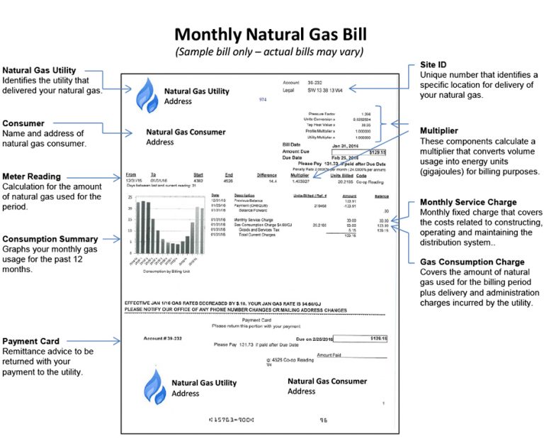 How to Pay Your True Natural Gas Bill Online or In Person